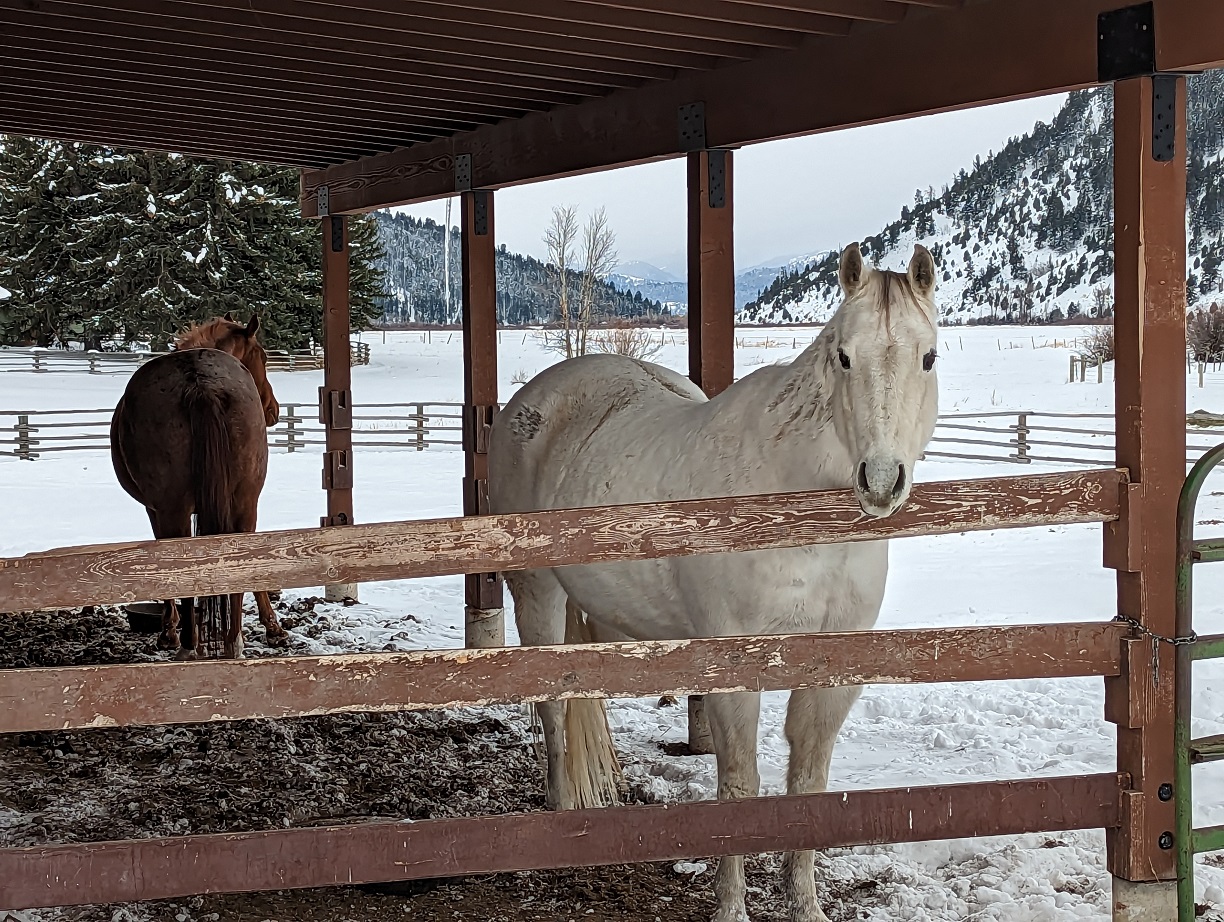 Celebrating a Decade of Wyoming Whiskey in Jackson Hole - Fred Minnick